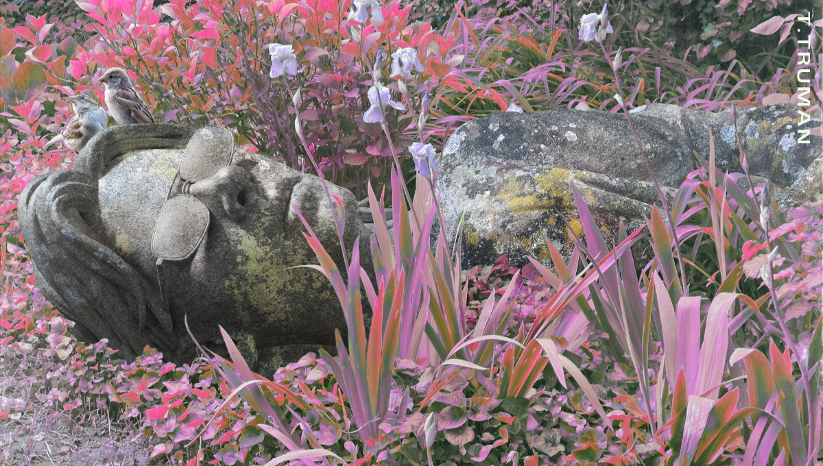 T Truman Channels His Know-It-All Alter Ego With ‘Born To Be Right ...